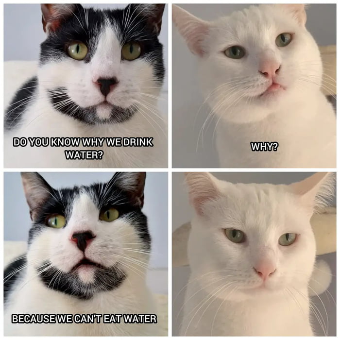 Noted, cheers - 9GAG