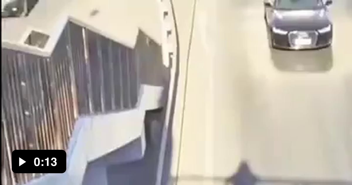 RIP little guy what a way to go - 9GAG