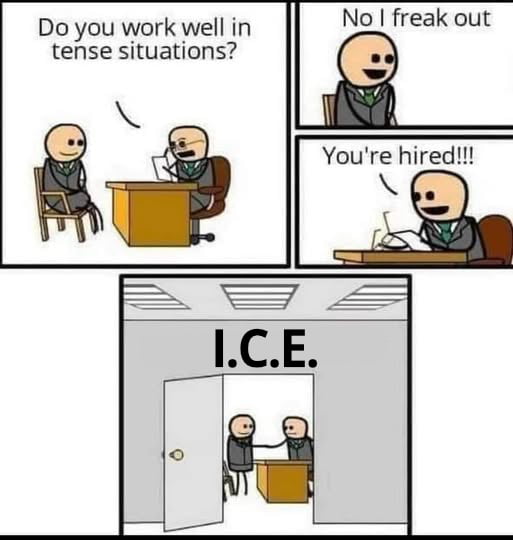 ICE Interview Freak Out You're Hired Funny Comics - 9GAG