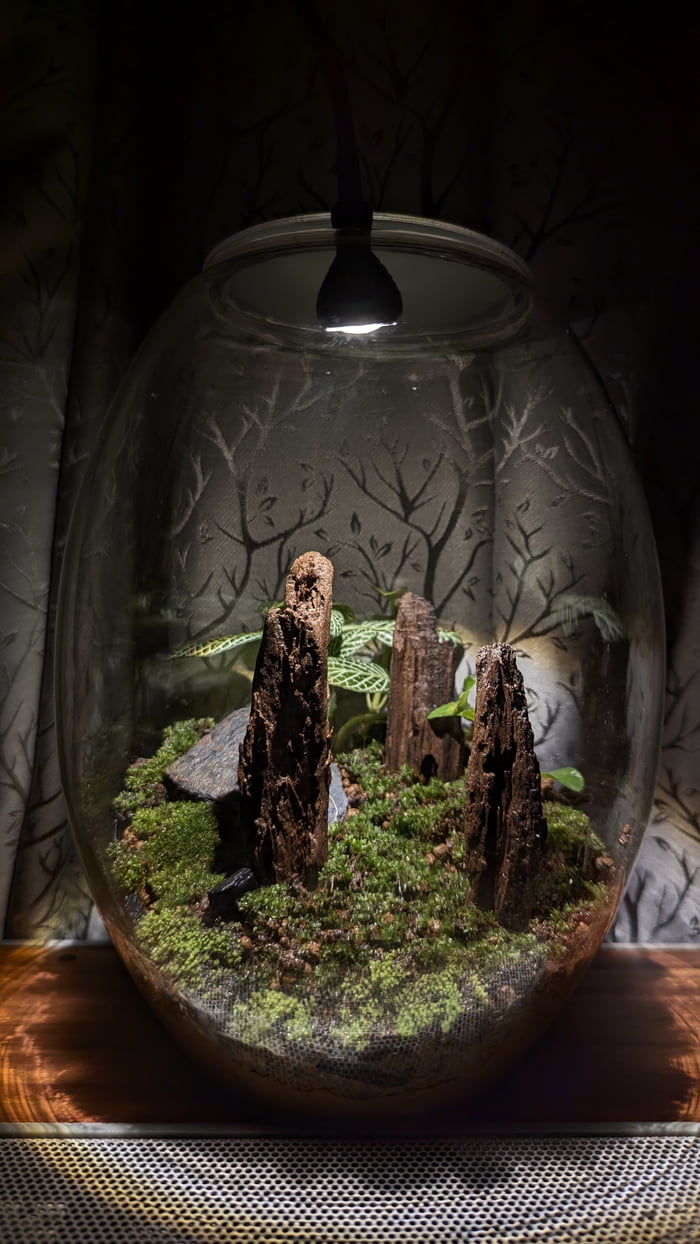 Cozy terrarium - 9GAG