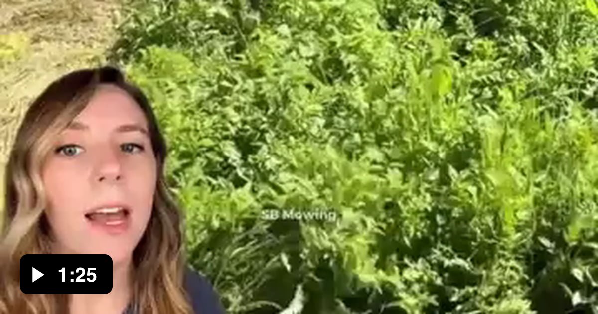 A man who mows lawn for free saved a sanctuary from shutting down - 9GAG