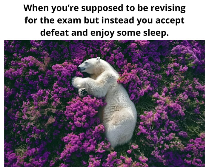 Best sleep ever. - 9GAG