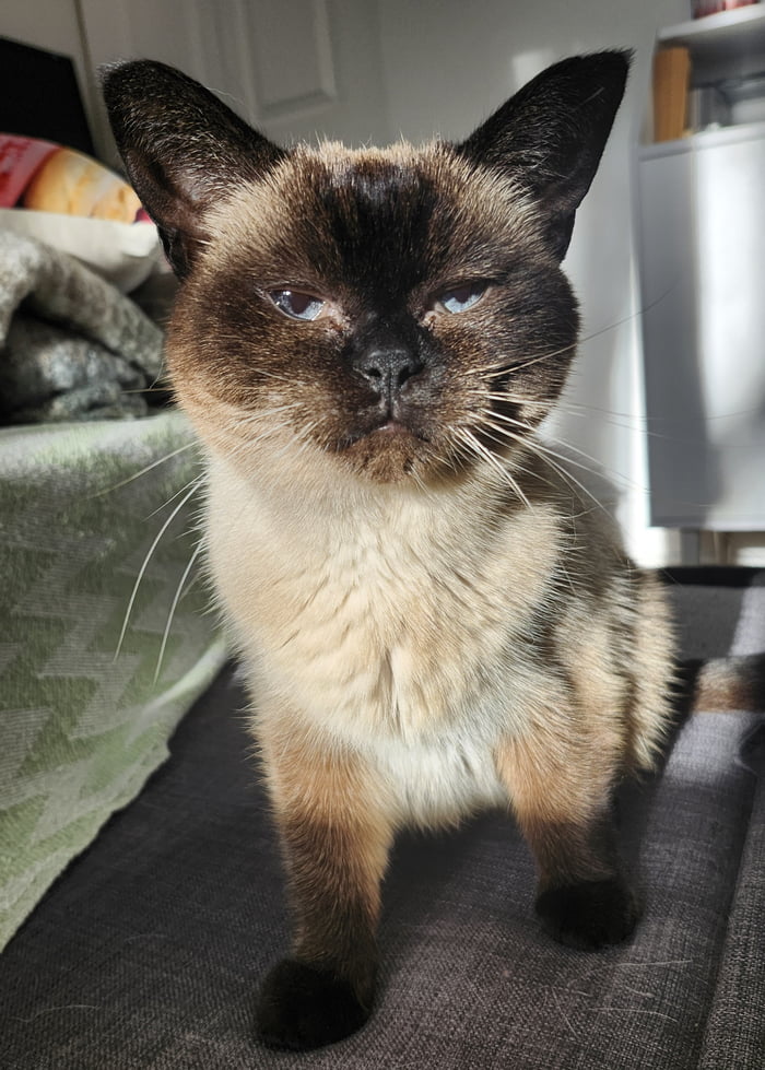 My Best Friend Mimi 9gag