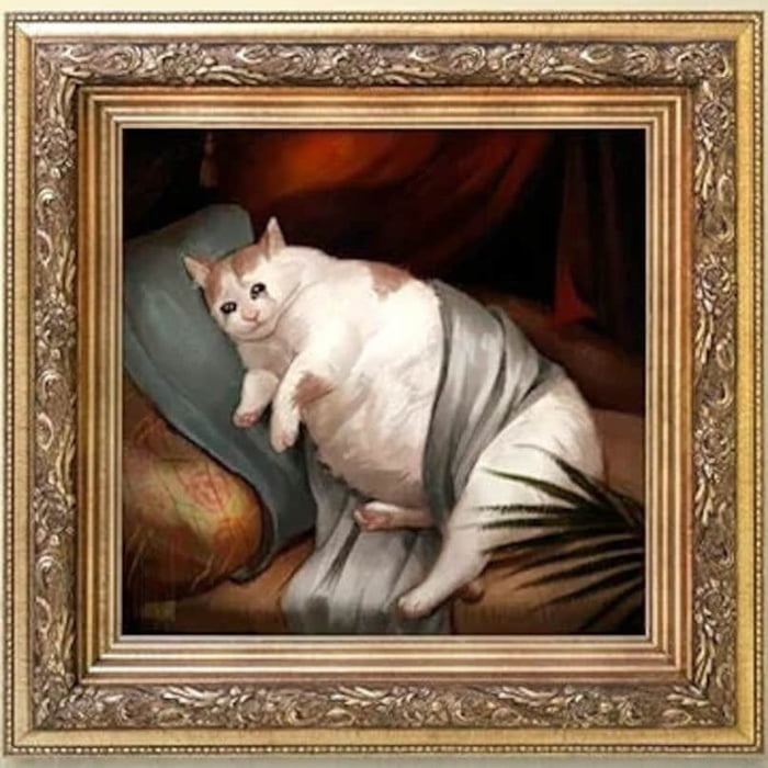 Sad cat hours. Gib treat(memes) pls - 9GAG