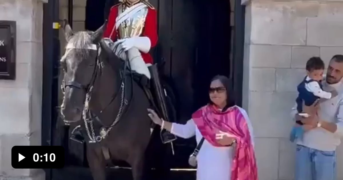 Royal guard's horse hits woman - 9GAG