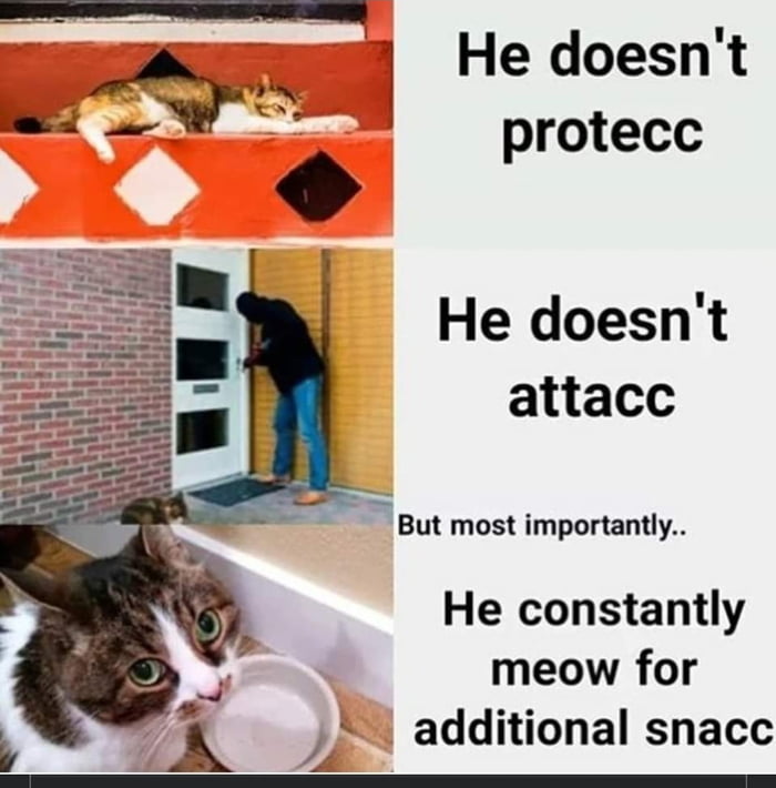 Everyday 9gag
