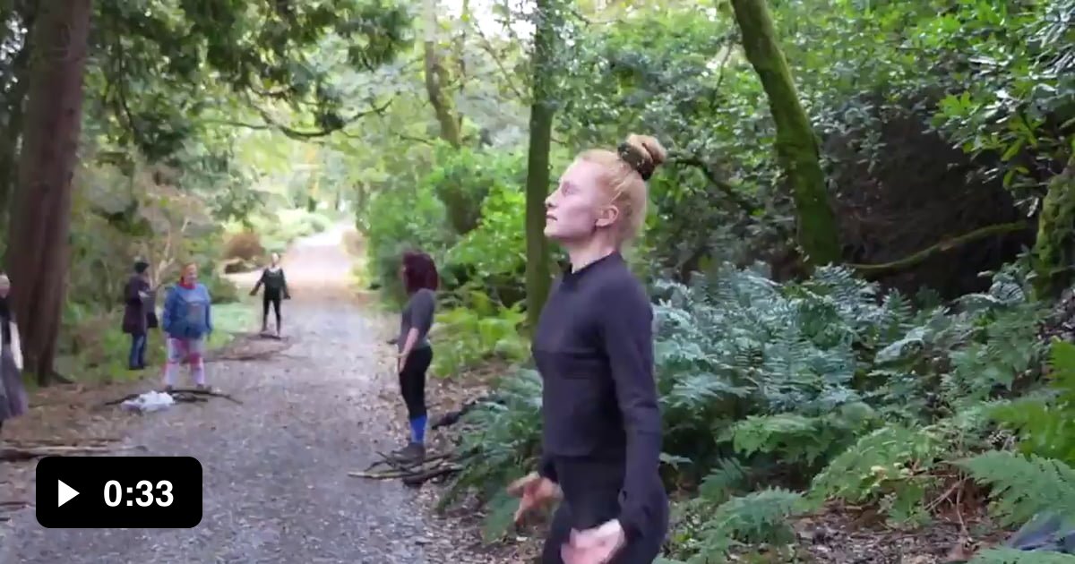 Liberal women spend $4,000 to bash sticks on the ground and scream at a ...