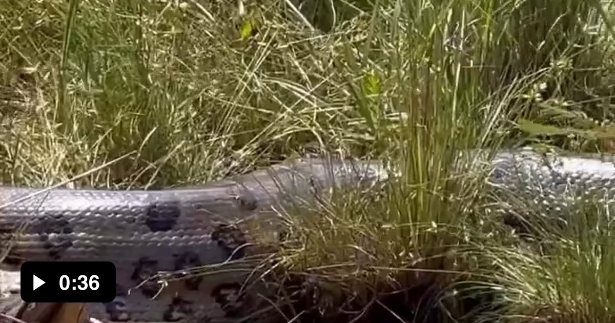 Brazil is not for beginners - 9GAG