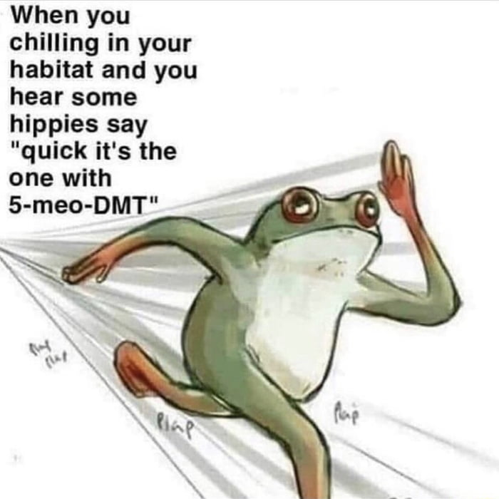 Its wednesday my dudes - 9GAG