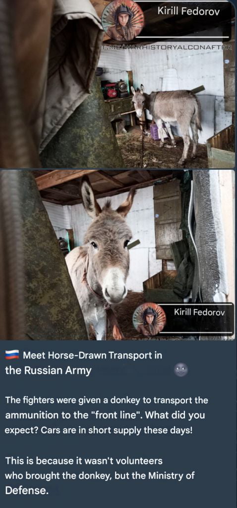 Prediction: Before 2025 is through, a drone will capture footage of a Donkey Cavalry Charge ...