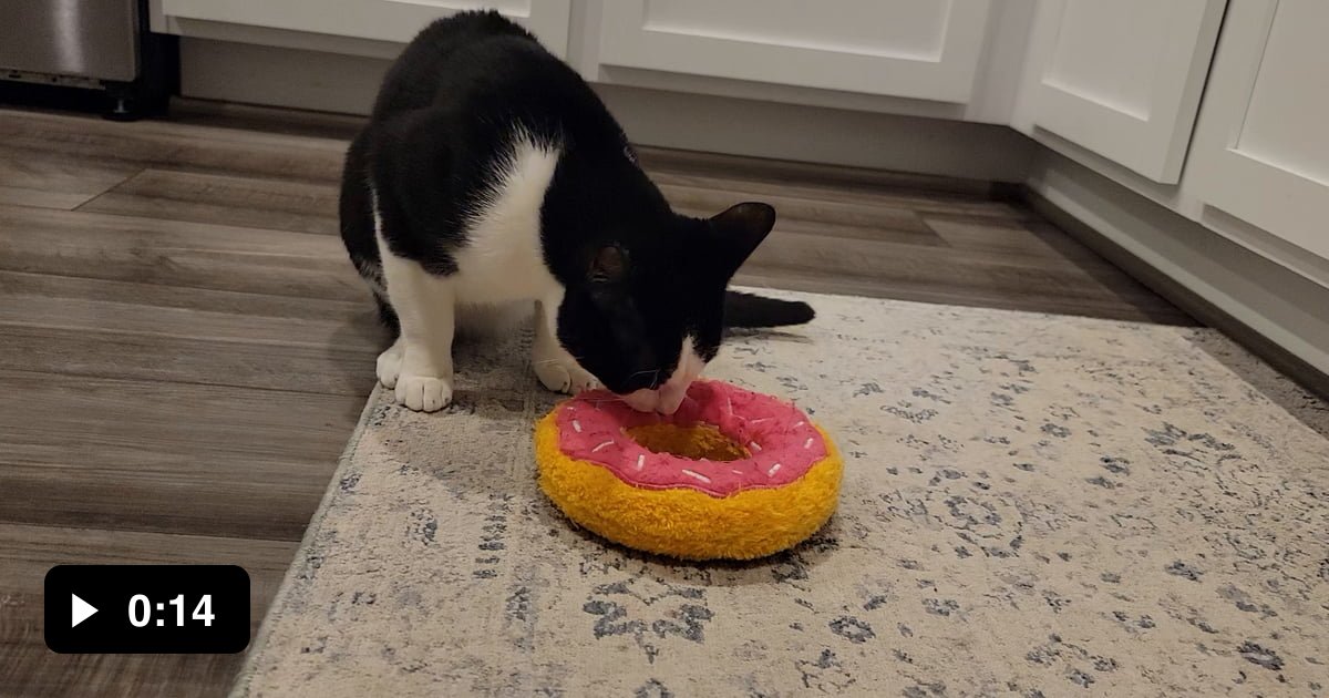 F**ker took my donut - 9GAG