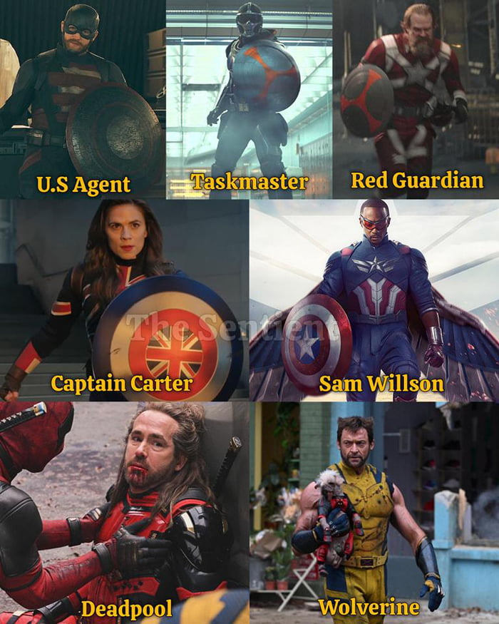 Shields of the MCU (credit The Sentient) - 9GAG