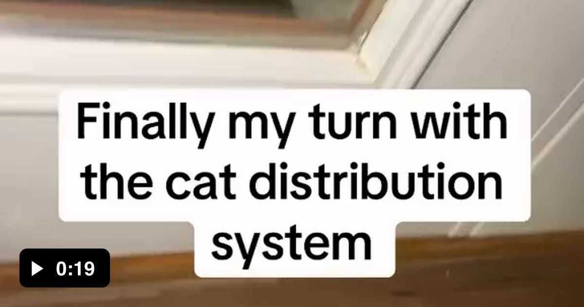 Cat distribution system is not always perfect - 9GAG