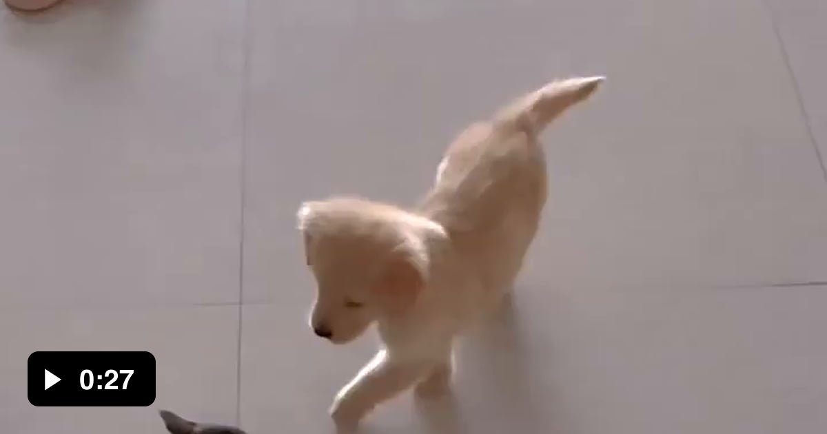 Can't stop watching - 9GAG