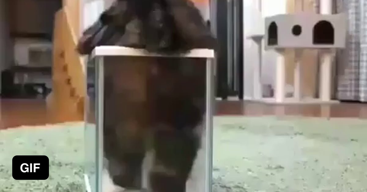 Hello kind sir - 9GAG