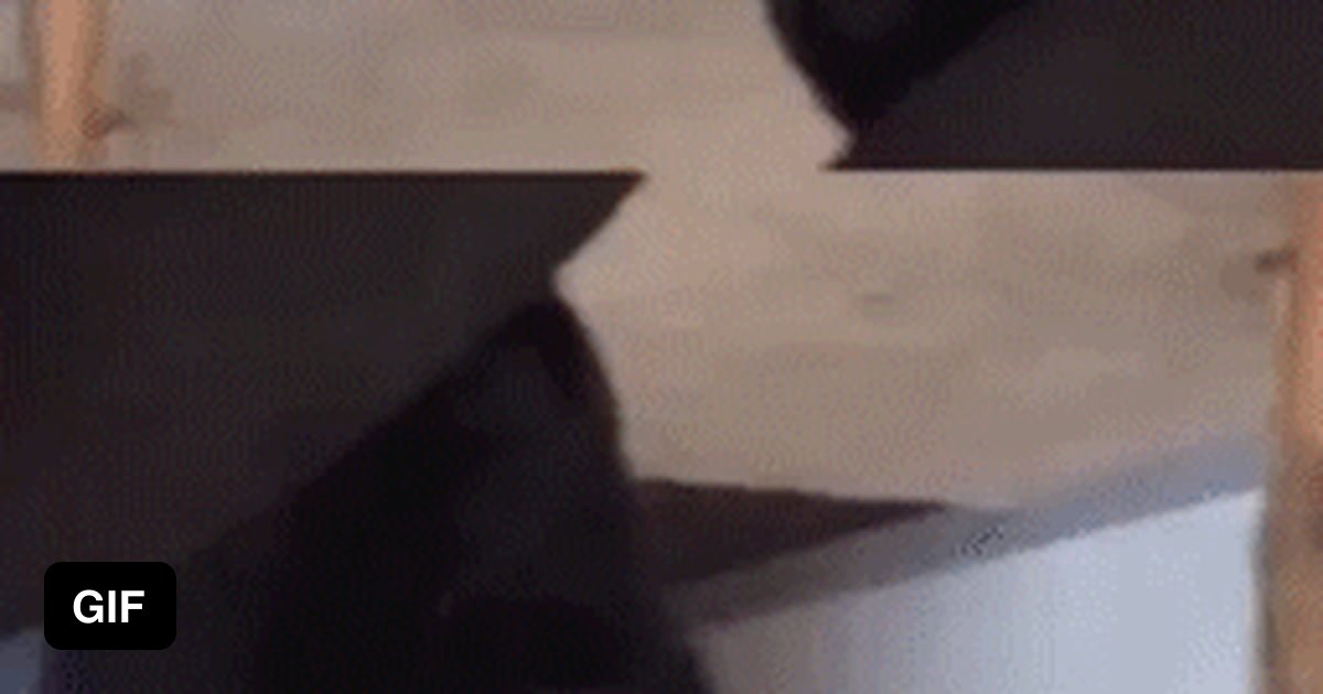 Perfect loop? - 9GAG