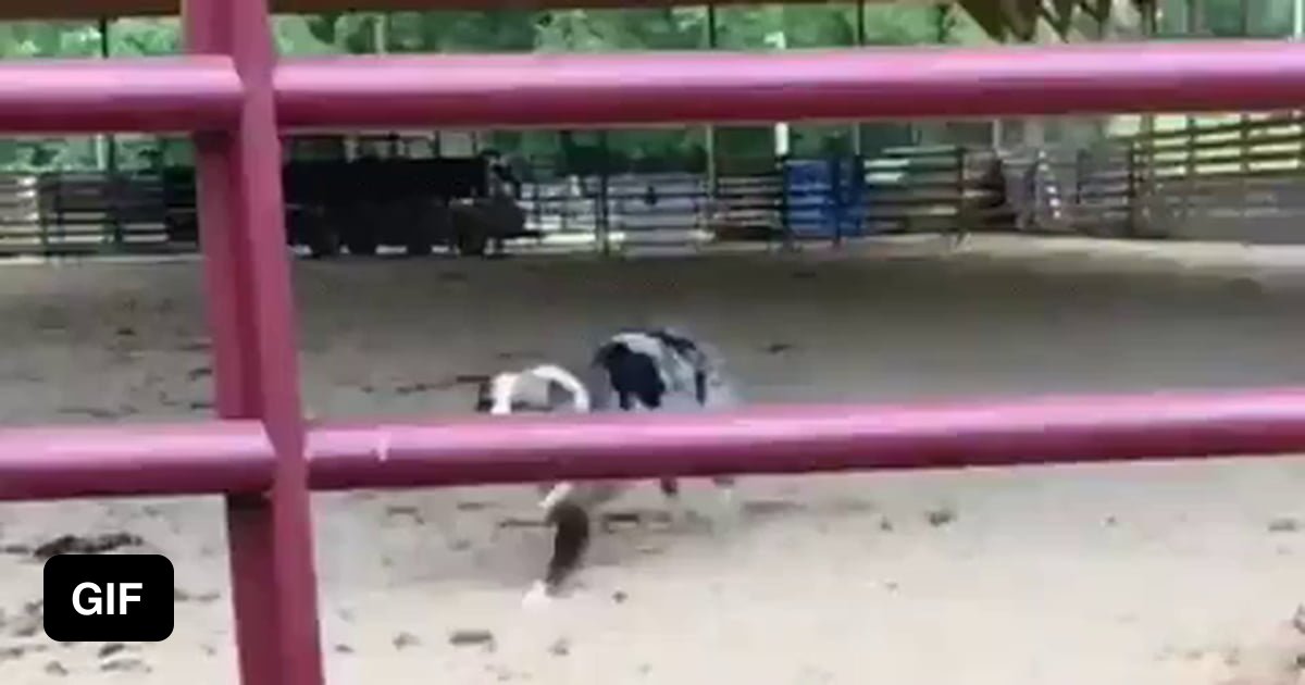 Jumping the Gate - 9GAG