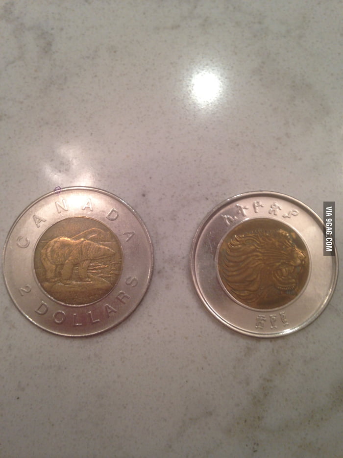 Got An Ethiopian Birr Back With My Change Canadian Toonie On The Left got-an-ethiopian-birr-back-with-my-change-canadian-toonie-on-the-left