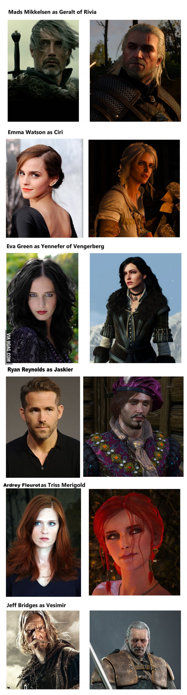 My cast for a Witcher 3 movie - 9GAG