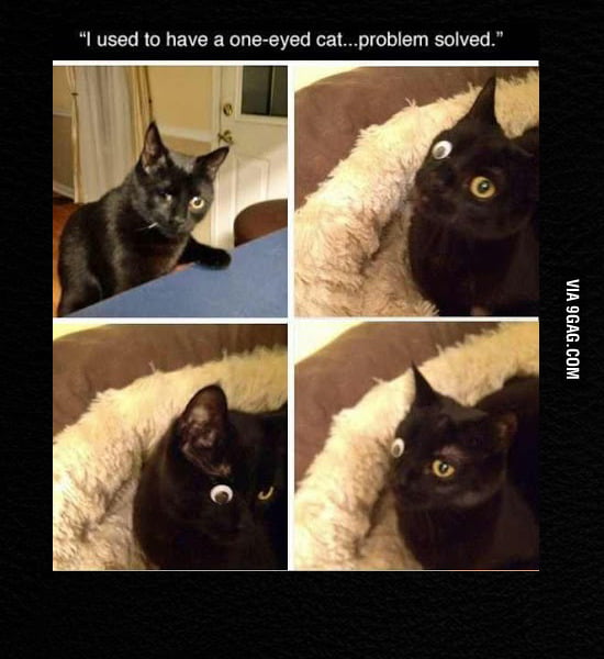 That would be funny as hell. - 9GAG