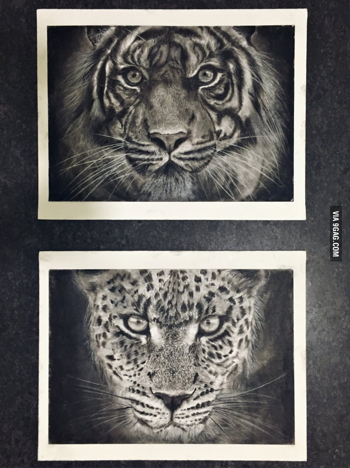 Charcoal #9: Wild Beasts! What do I draw next? - 9GAG
