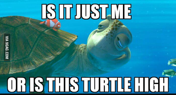 Am I the only one who thinks that - 9GAG