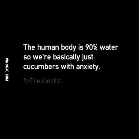 Cucumbers with anxiety - 9GAG