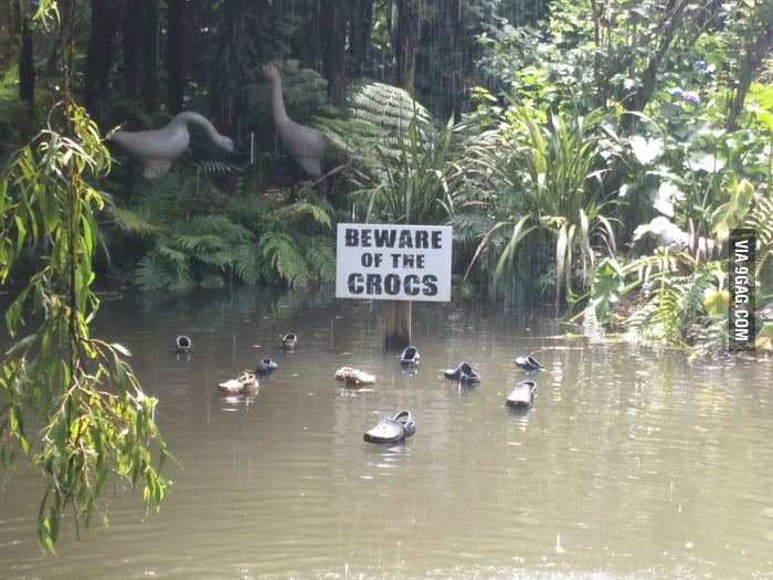 Beware of the Crocs - 9GAG