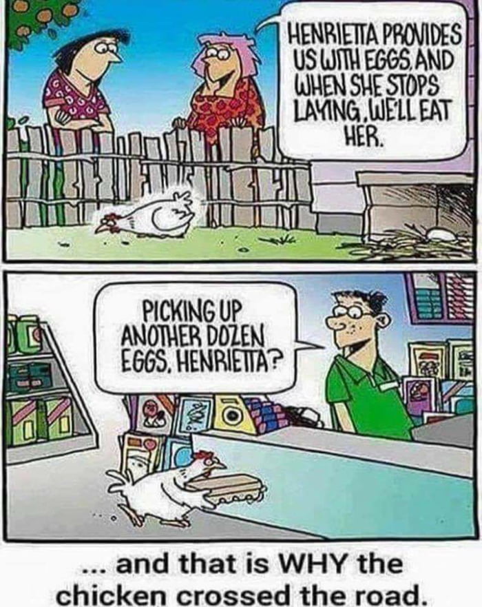 Chicken be scared - 9GAG