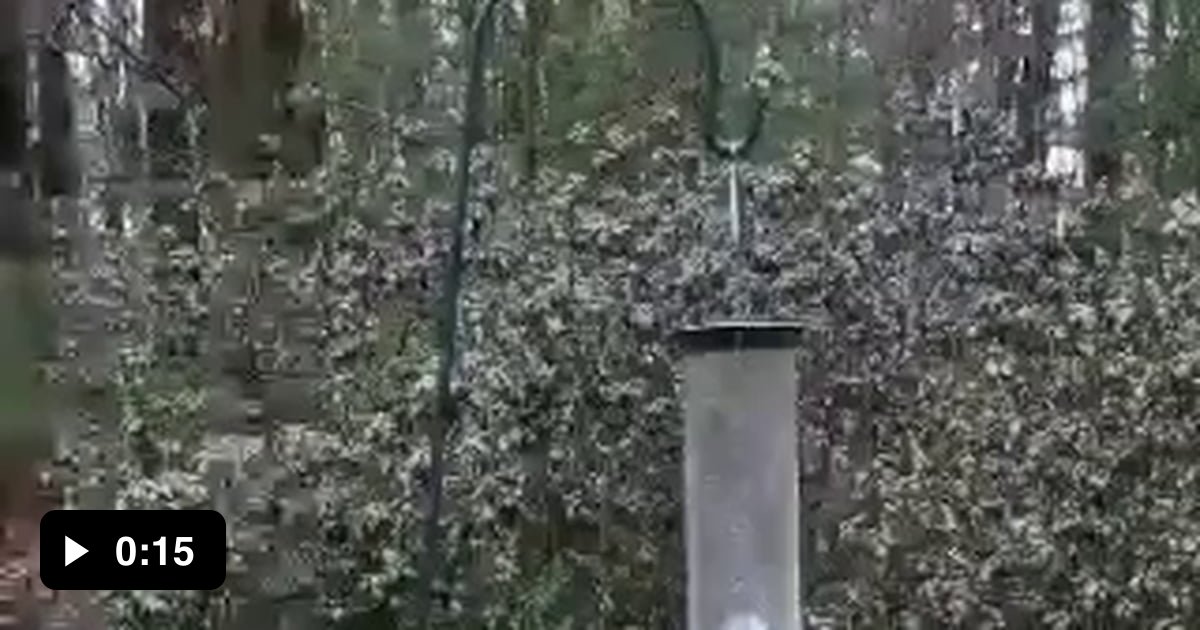 Do You Want MOre PIXELS?? - 9GAG