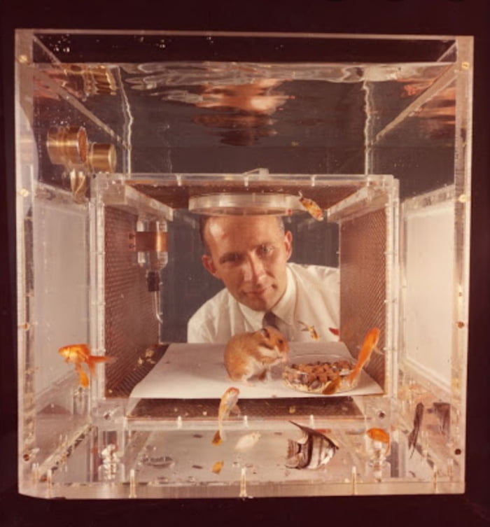 56 years ago, General Electric Research Lab scientist Walter Robb ...