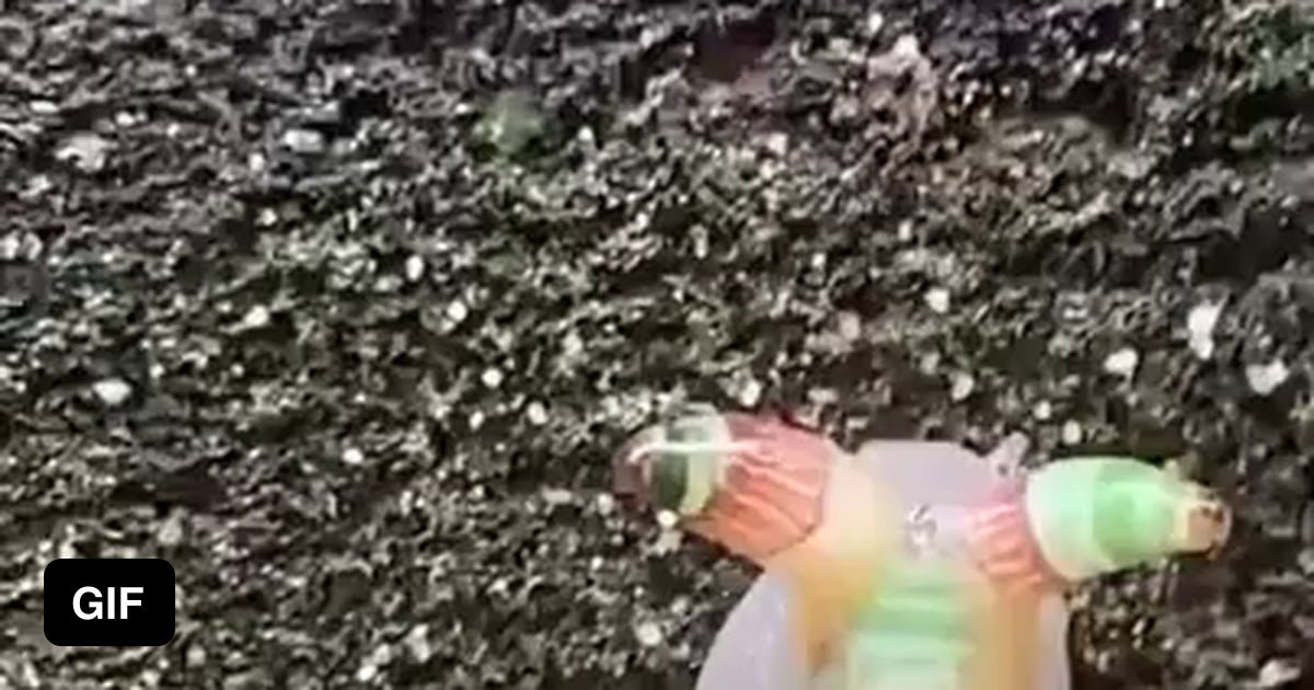 Parasites paralyze the snail and attract attention so that it is eaten ...