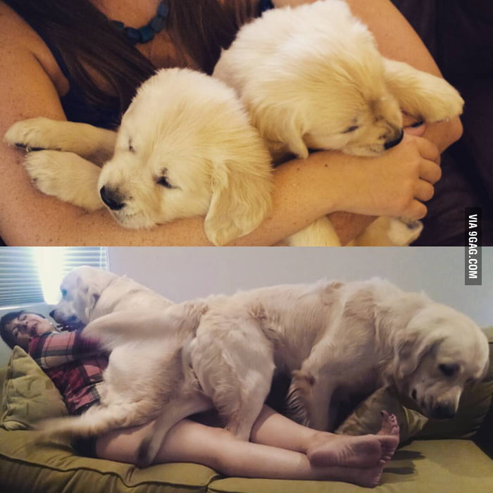 Before And After 5 Weeks 55 Weeks 9GAG