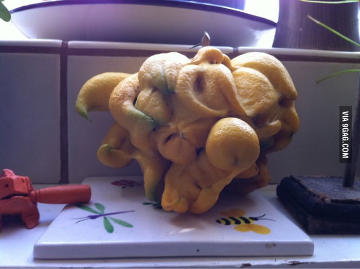 Cthulhu + lemon - 9GAG