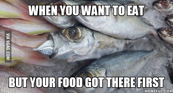 Fishception - 9GAG