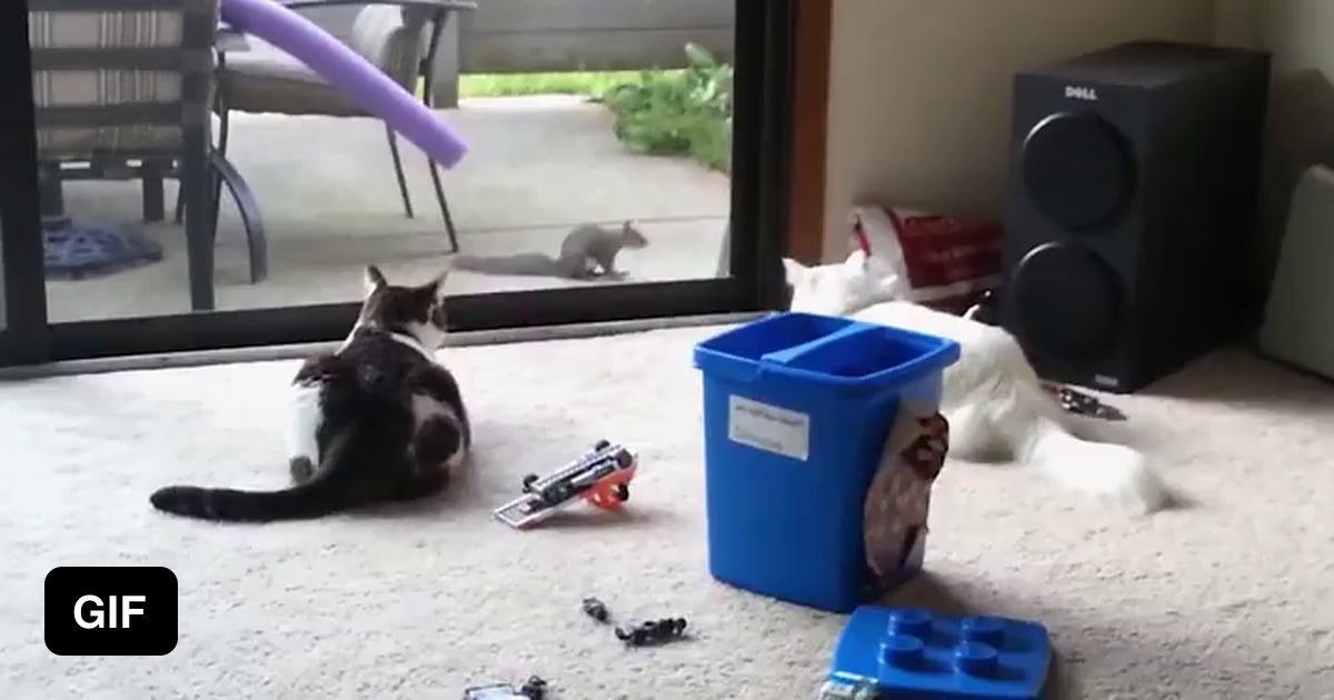 Target locked... Engage! - 9GAG