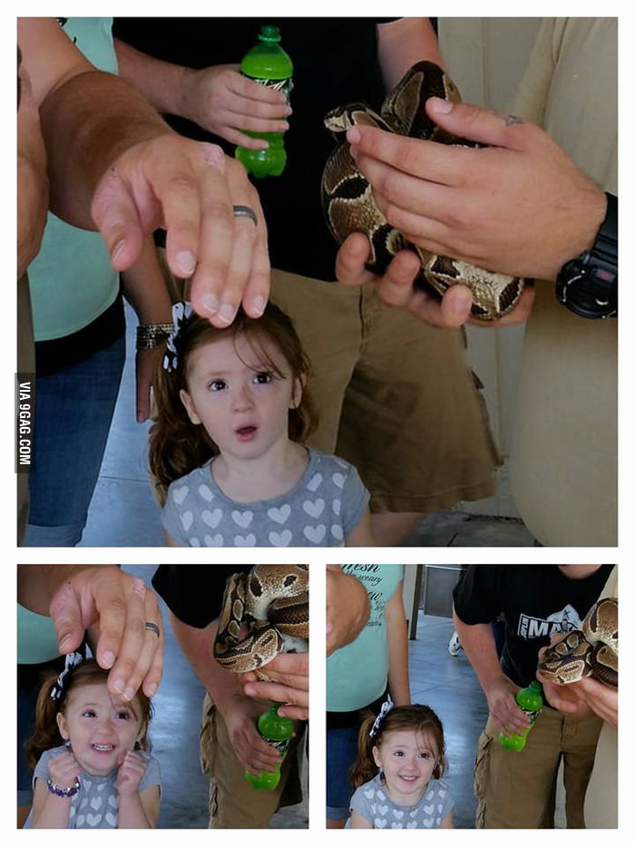 This girl's reaction to a Boa constrictor. - 9GAG