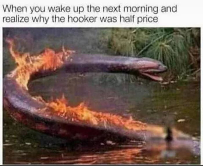 Cheaper is not always better! - 9GAG