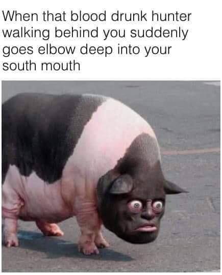 Everyone needs more Bloodborne memes - 9GAG