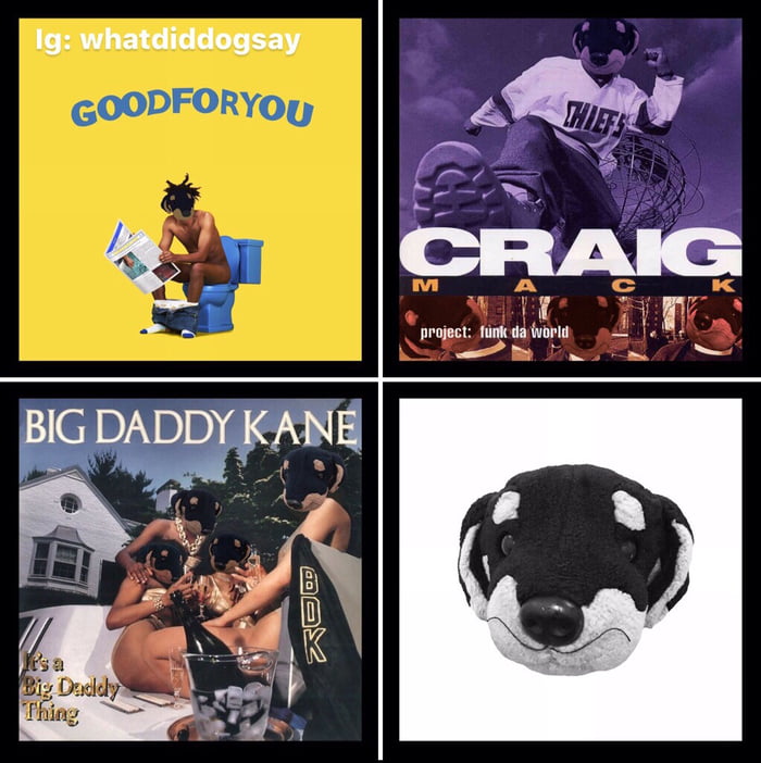 Dog in album covers - 9GAG