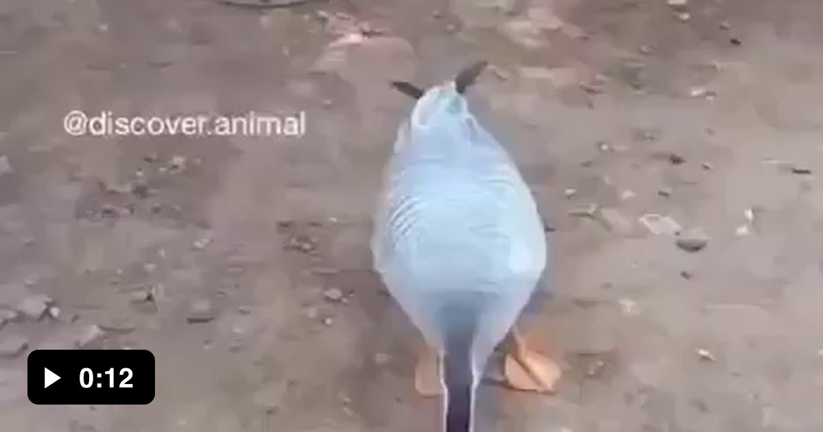 You reach the meme checkpoint. Have a nice day. - 9GAG