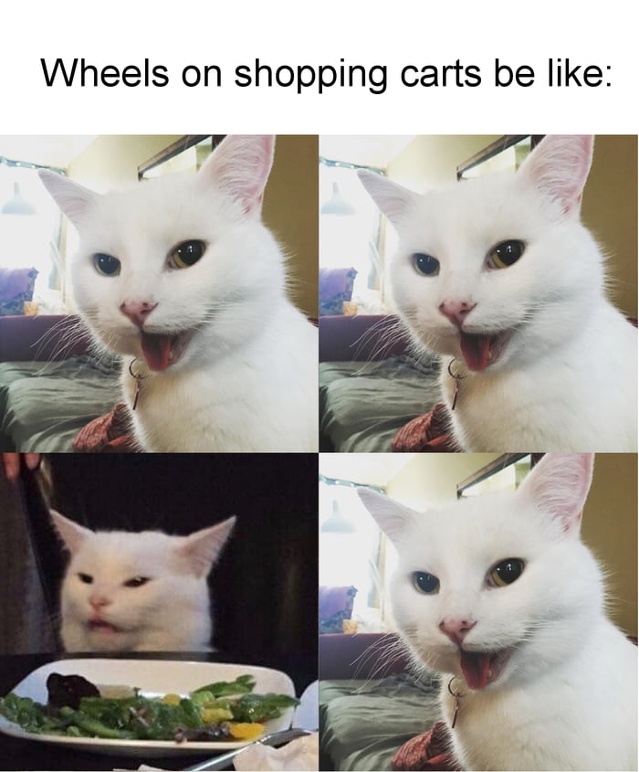 Confused cart at dinner table - 9GAG