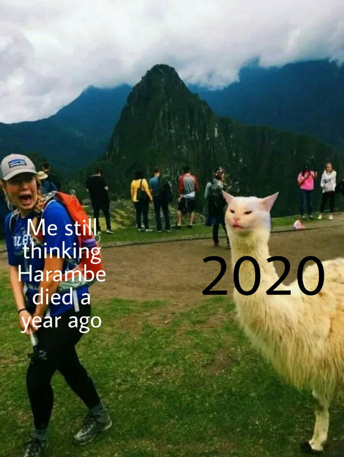 Time Flies 9gag