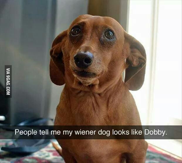 He kinda does... - 9GAG