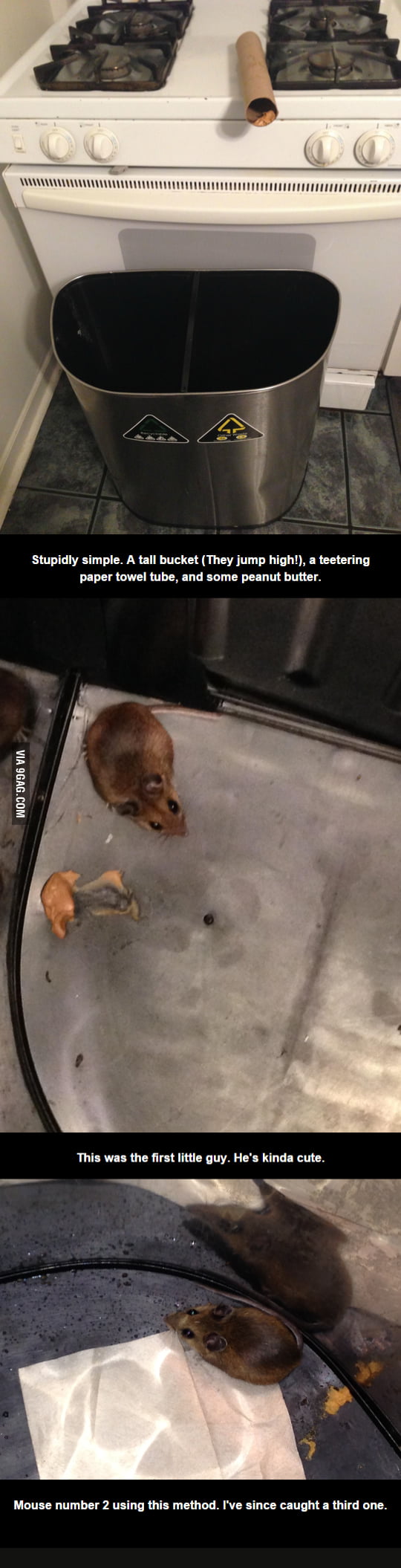 This ingeniously simple mouse trap really worked. - 9GAG