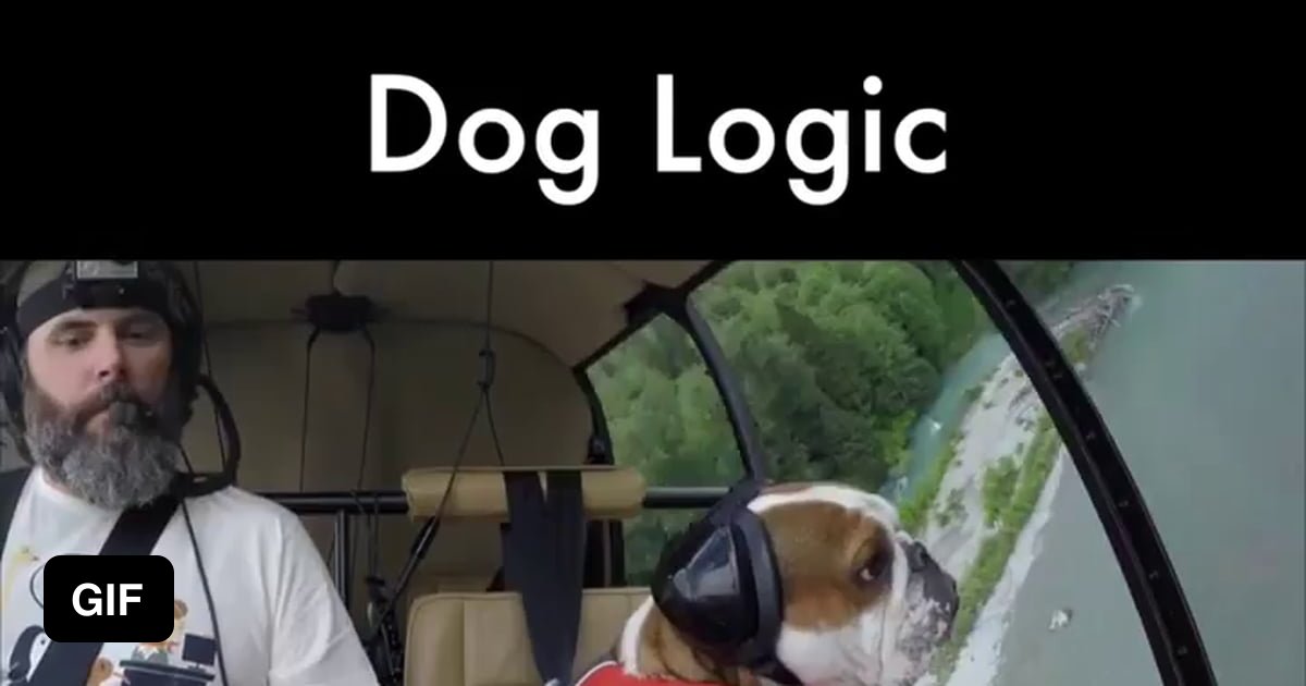 Dog Logic... - 9GAG