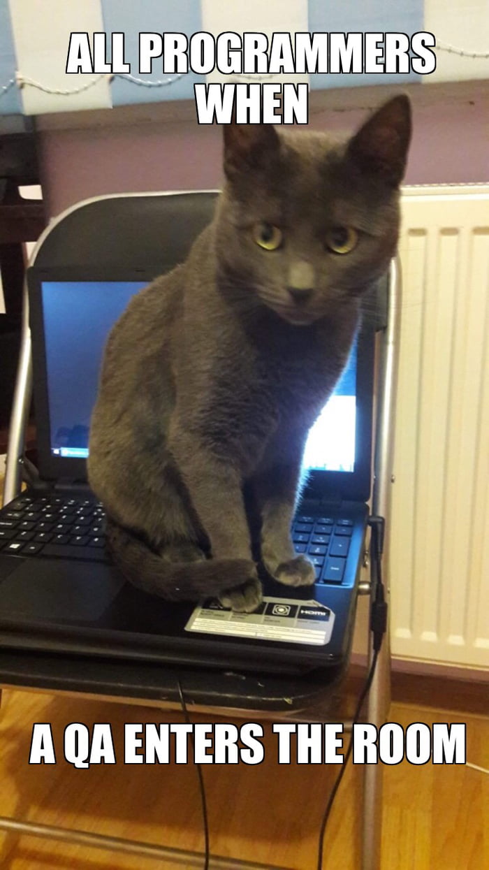 Cat programmer's life! - 9GAG