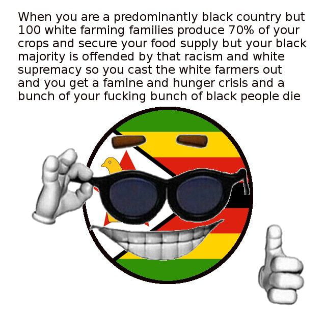 Zimbabwean Memes [Image 470702] | Bazinga | Know Your Meme