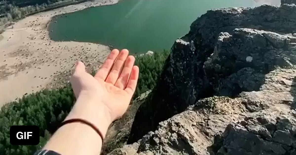 This bird landing on this persons hand over looking a beautiful ledge ...