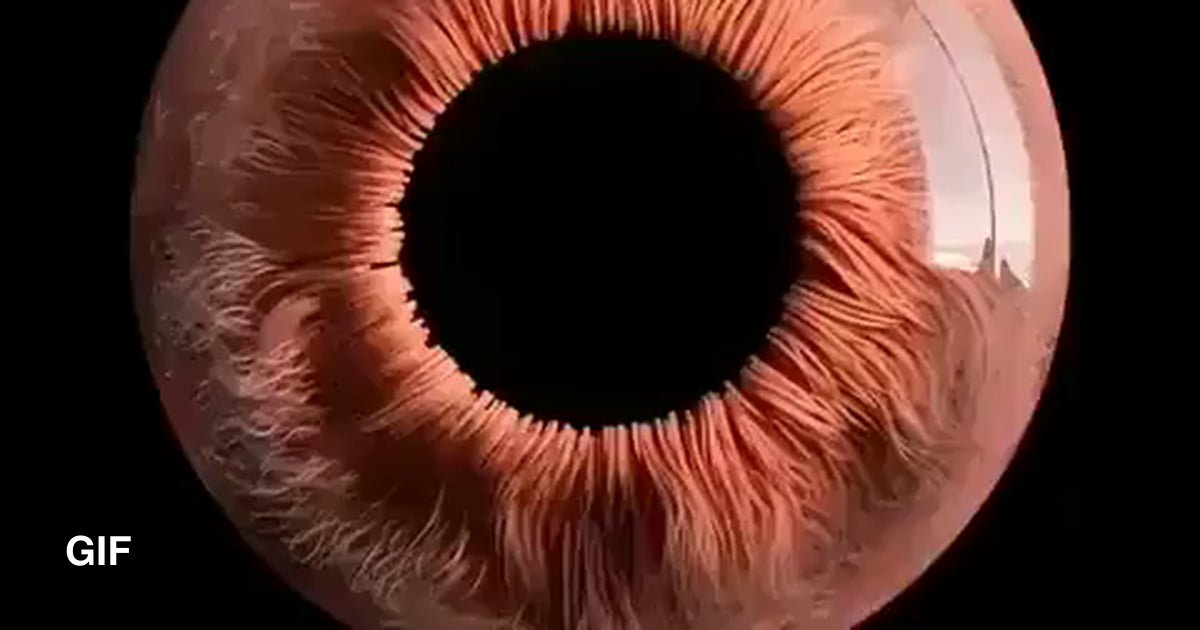 Human eye under a microscope - 9GAG